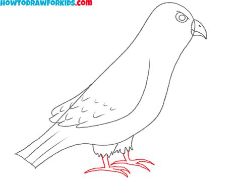 Image result for Hawk Drawing Easy Simple