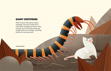 Image result for Project Science Insects Book Cover