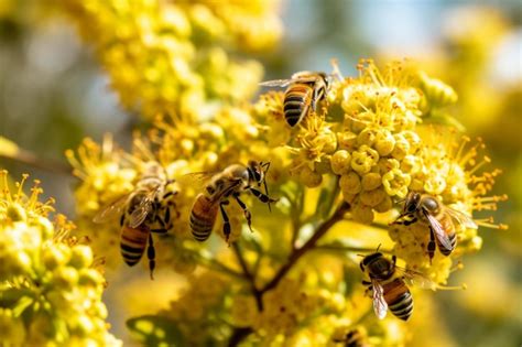 Image result for Pollinating Insects