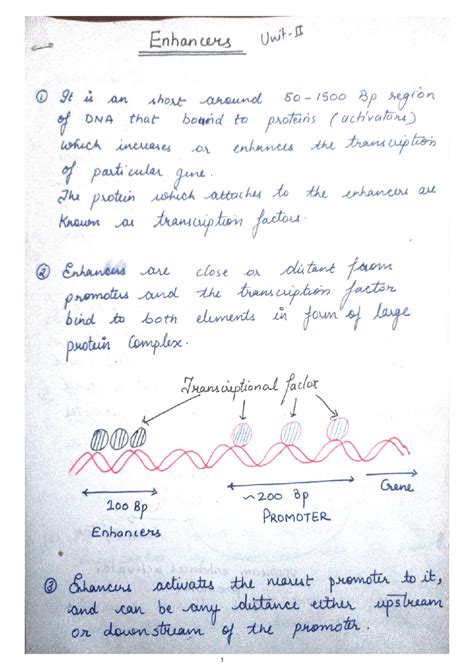 Image result for enhancer elements