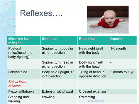 Image result for And Are Examples of Primitive Reflexes