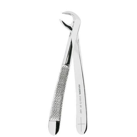 Image result for Extracting Forceps