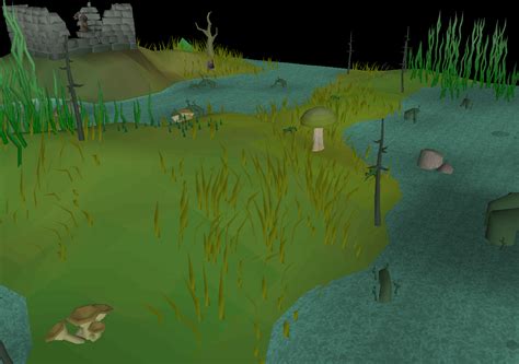 Image result for How to Catch Swamp Lizards OSRS