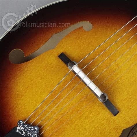 Image result for 6 String Mandolin