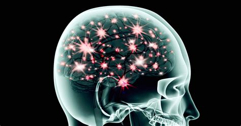 Image result for Morning Memory