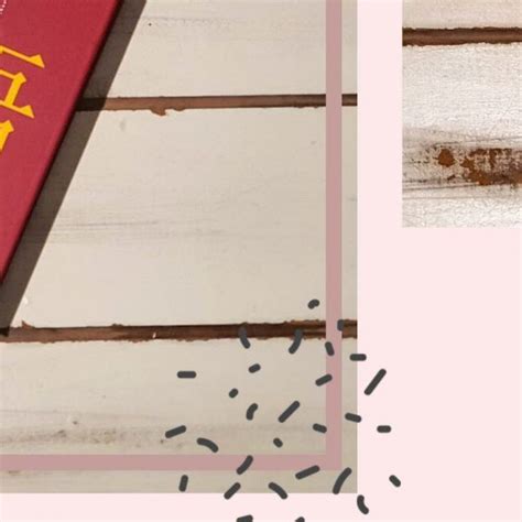 Image result for Language Notebook Set Up