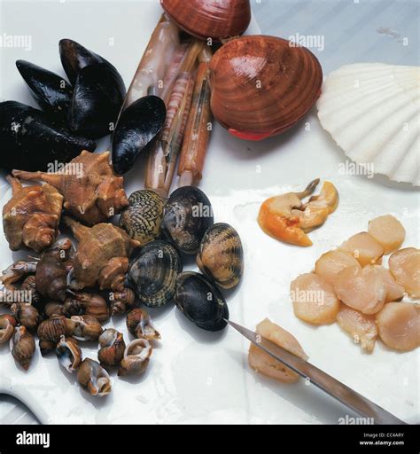 Image result for How to Clean Scallops