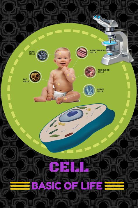 Image result for Basic Unit of Life