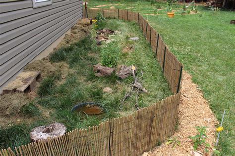 Rescue Tortoise / Turtle Habitats – Spora Studios