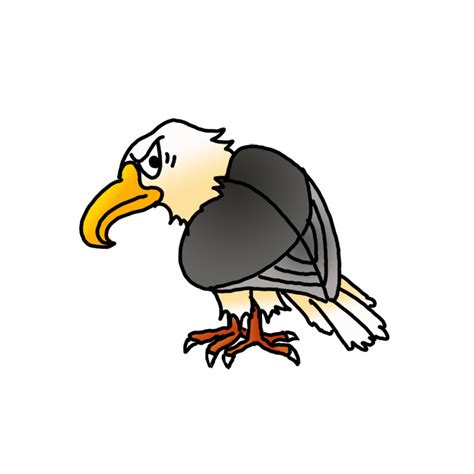 Image result for Hawk Drawing Brid