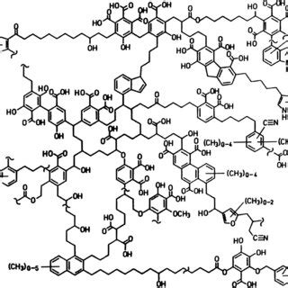 Image result for Humic Acid Sem