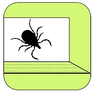 Image result for Testing for Tickles