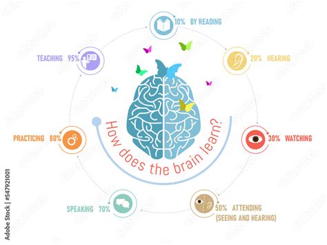 Image result for How Do Humans Learn