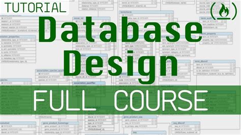 Image result for Udemy Database Design Basic