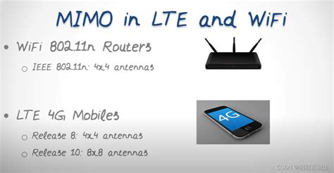 Image result for Fly Mimo