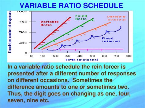 Image result for Variable Ratio Schedule Example