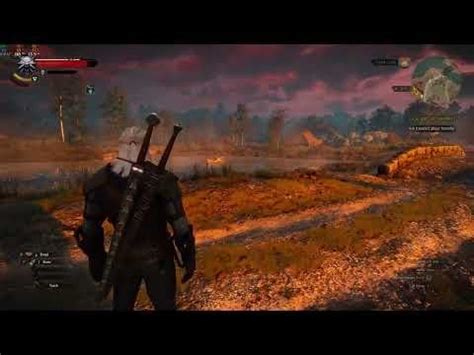 Image result for Witcher 3 Reworked FPS