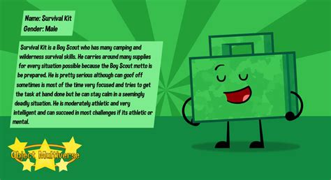 Image result for Object Multiverse