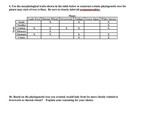 Image result for Morphological Table Example