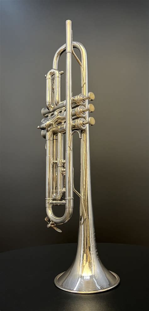 Image result for Besson Amine