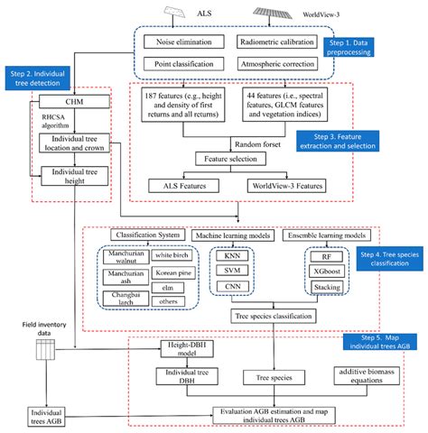 Image result for Summarizing Process