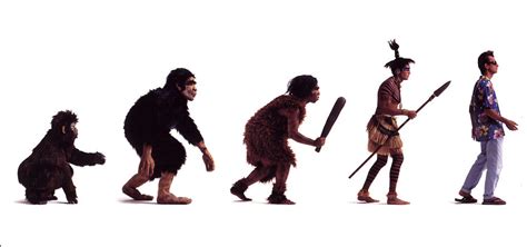 Evolution & Human Behavior | scientist-site
