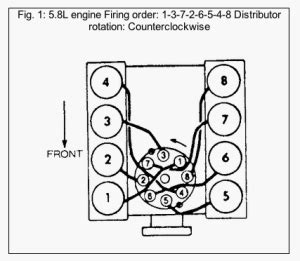 Image result for 351 Cleveland Timing Set