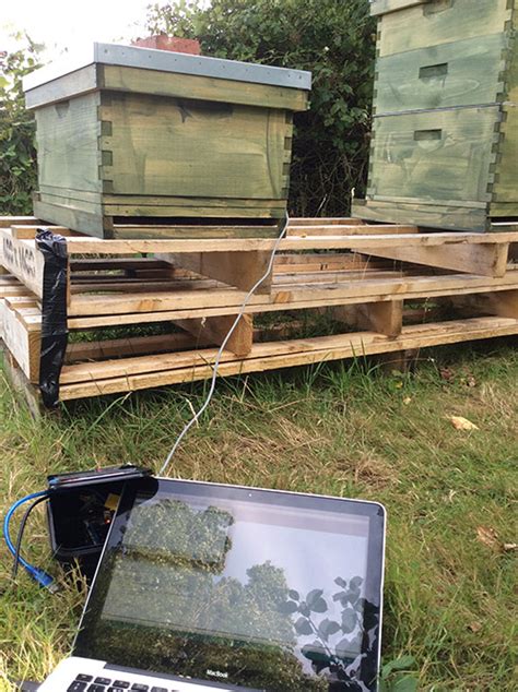 Image result for Raspberry Pi Beehive Monitor