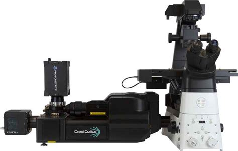 Image result for Nikon Microscope