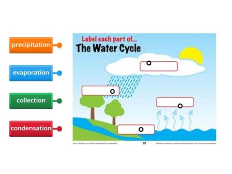 water cycle - Labelled diagram