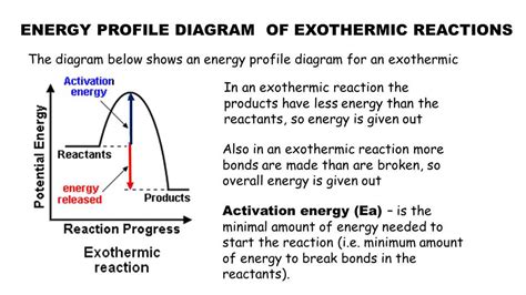 Image result for Exothermic Reaction Energy Graph