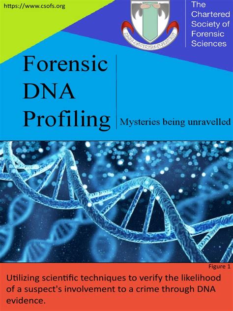 Image result for Forensic Profiling