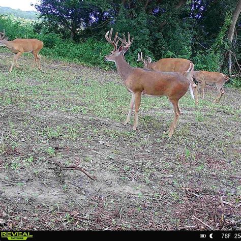 Image result for Scheels Sporting Goods Appleton WI