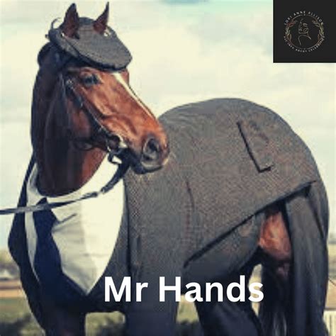 Image result for Mr Hands Script Roblox