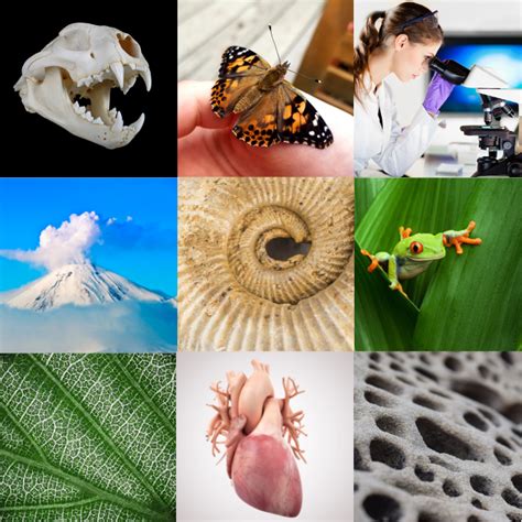 Image result for Simple Pictures About Science