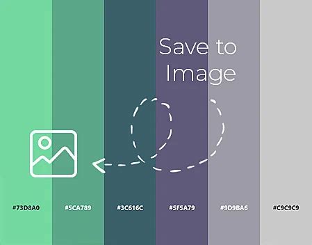 Image result for Random Color Palette Generator