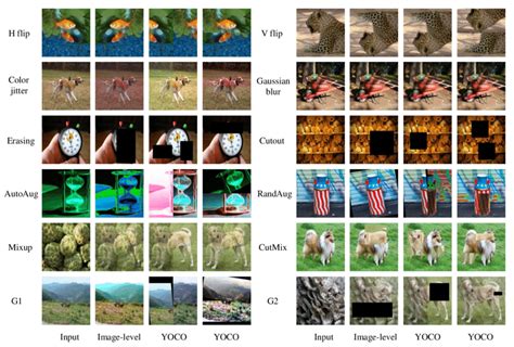 Image result for Image Net Validation Images Examples