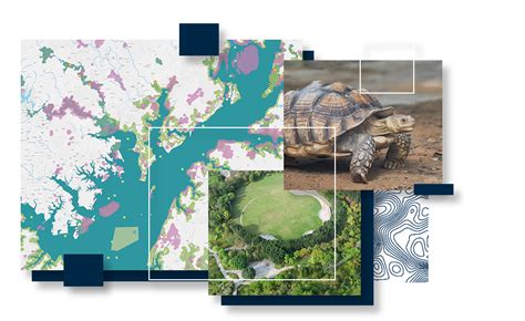 Image result for Project Management Environmental Webinar