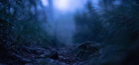 Image result for Background Sound Effects