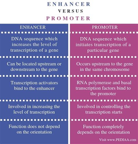 Image result for Enhancer Types