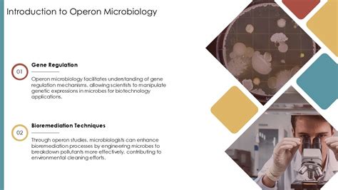 Image result for Operon PPT