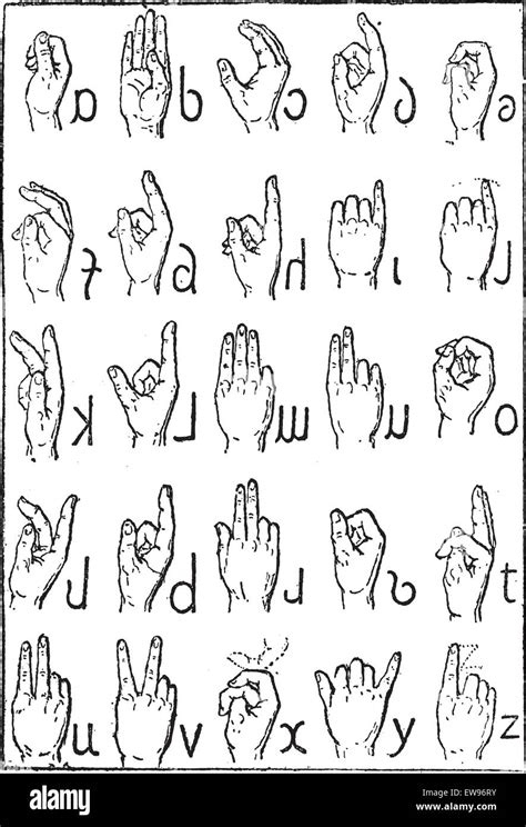 Image result for Sign Language Words Dictionary