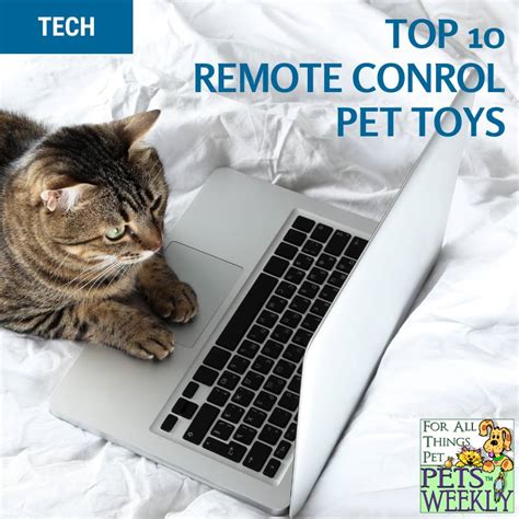 Image result for Remote Control Pets