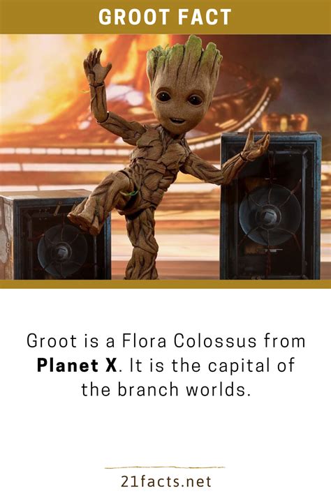 Image result for Groot Information