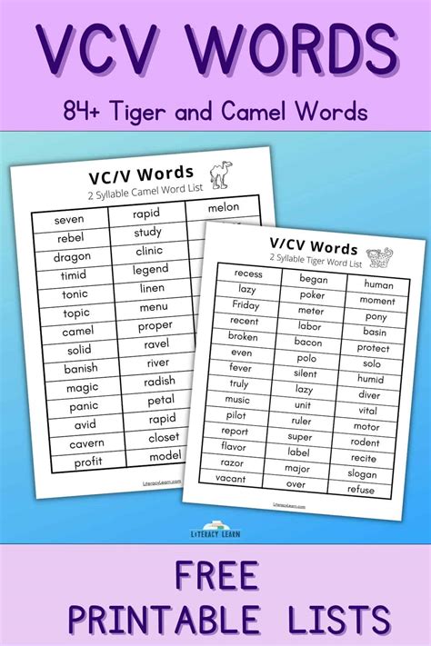 Image result for Vcv Pattern Sample Worksheets