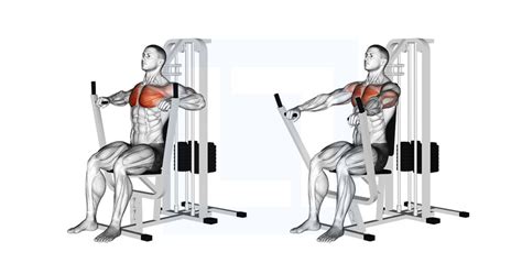Image result for Fly Press Workout