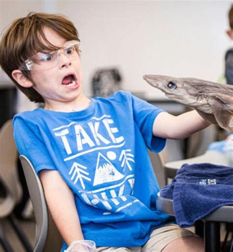 Image result for Elephant Toothpaste Science Bob