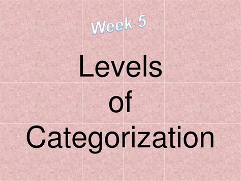 Image result for Basic Level Categorization