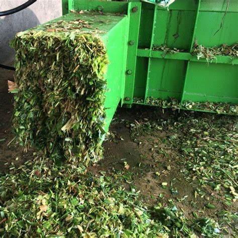 Image result for Corn Bagging Machine