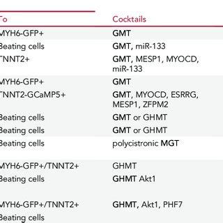 Image result for What Is Direct Reprogramming